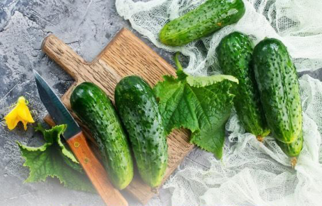 6 Health Benefits of Cucumbers – Dr. Sebi's Cell Food